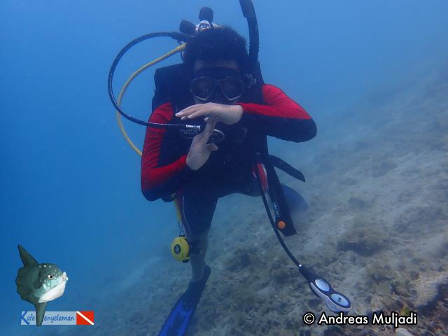 4 Hari Paling Seru Saat Berlatih Selam